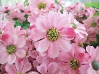 【OPPO R1C R8207/移动4G】报价_参数_图片_点评_OPPOR1C(R8207/移动4G)手机报价-ZOL中关村在线